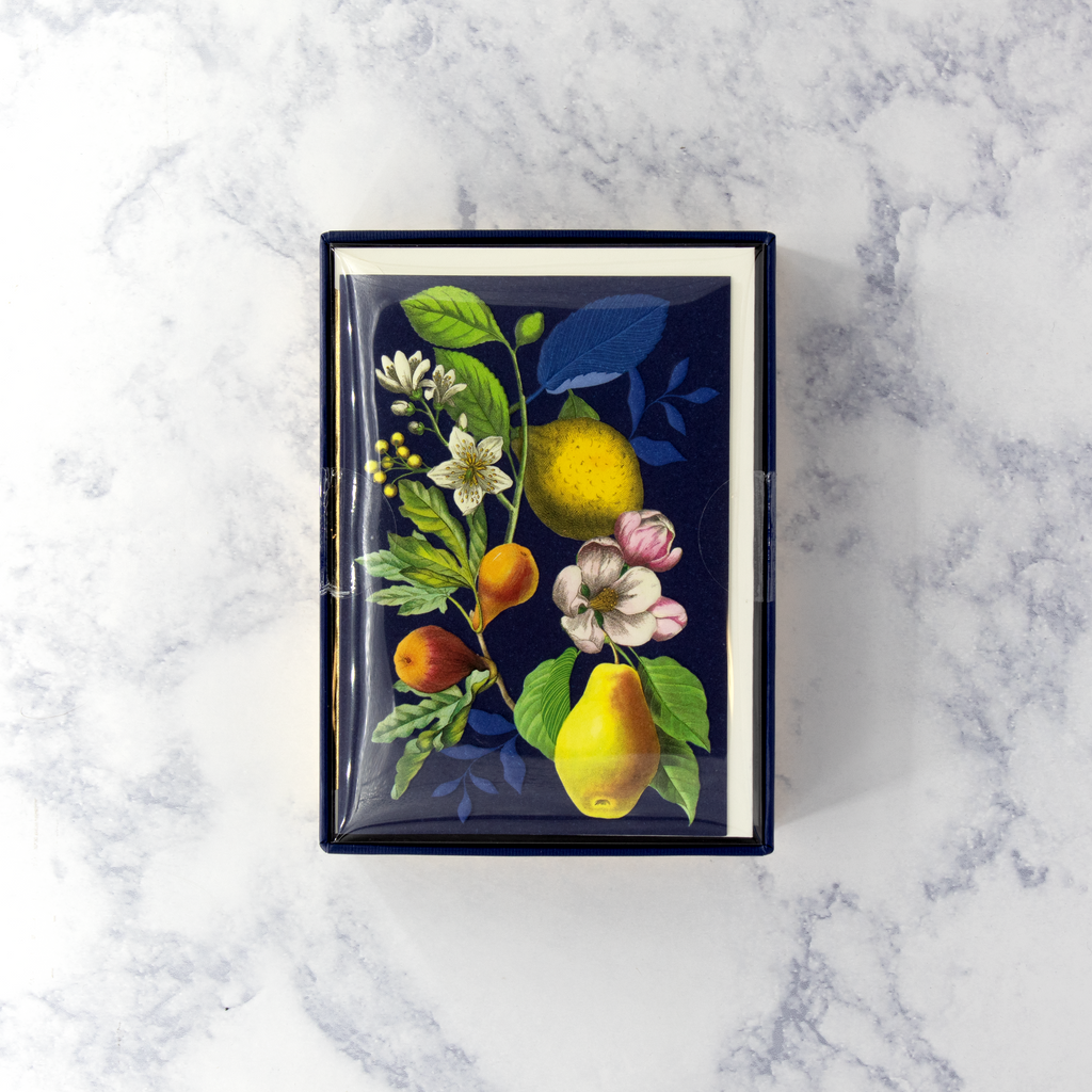 Embossed Vintage Floral Fruit Boxed Notes (Set of 12) – Bonsai Paper Co.