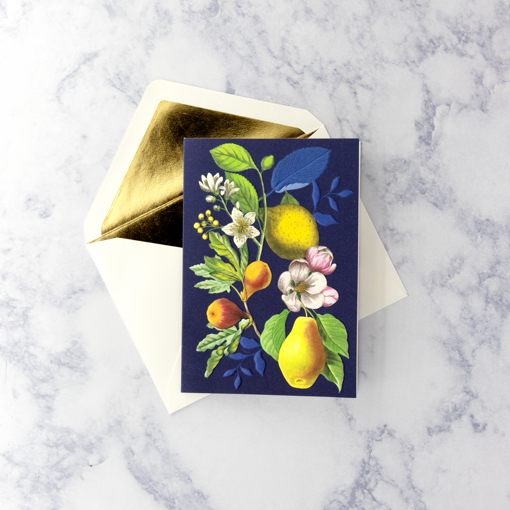 Embossed Vintage Floral Fruit Boxed Notes (Set of 12) – Bonsai Paper Co.