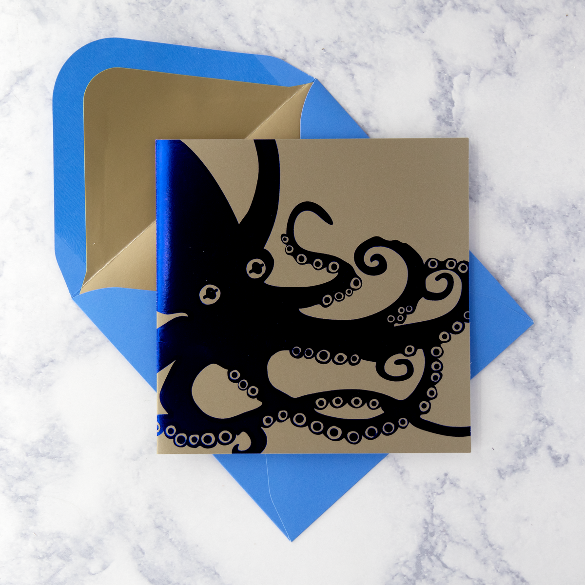 Graphic Sea Life Boxed Notes (Set of 20) – Bonsai Paper Co.