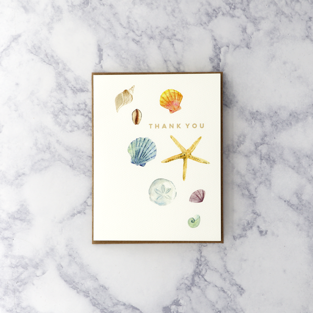 Illustrated Shells Thank You Card – Bonsai Paper Co.