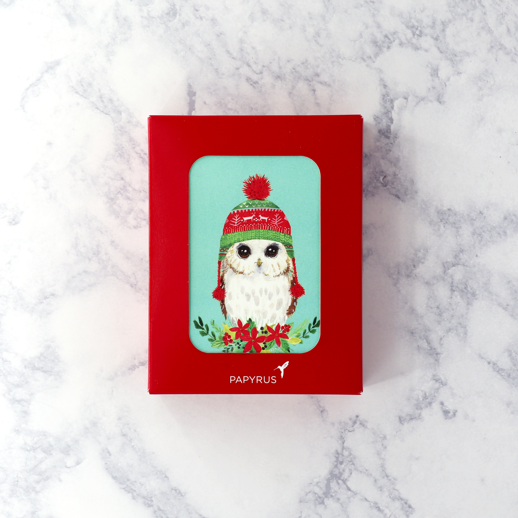 Owl In Beanie Holiday Boxed Notes (Set of 20) – Bonsai Paper Co.
