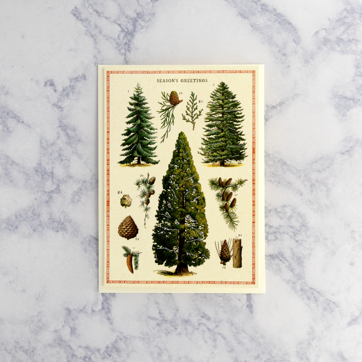 Vintage Christmas Trees Christmas Card – Bonsai Paper Co.