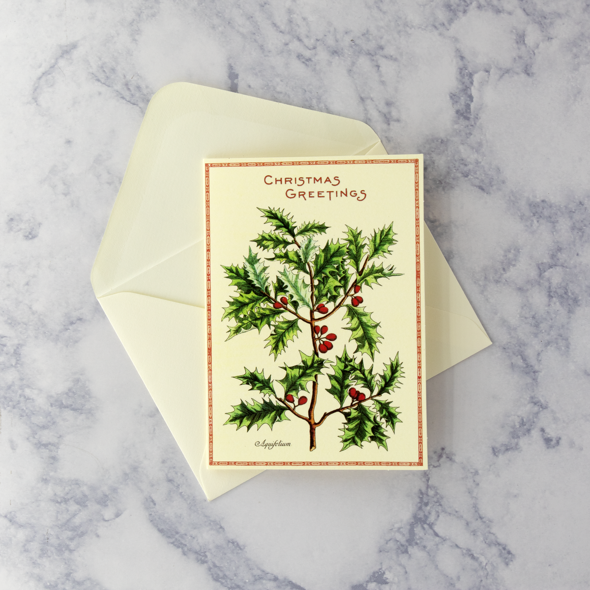 Vintage Holly Christmas Boxed Notes (Set of 10) – Bonsai Paper Co.