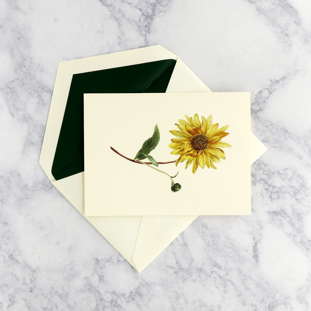 Modern Vintage Sunflower Boxed Notes (Set of 20) – Bonsai Paper Co.